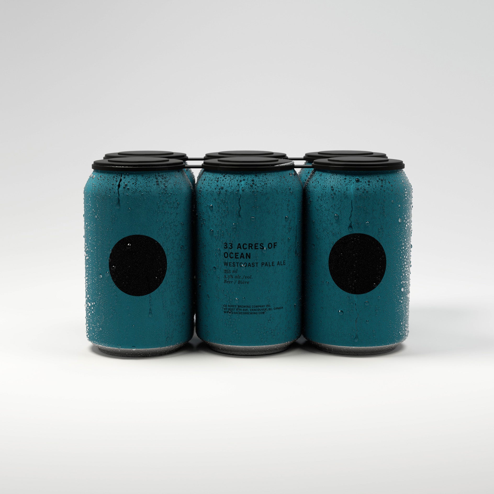 33 ACRES OF OCEAN - West Coast Pale Ale - 6 Pack – 33 Acres Brewing